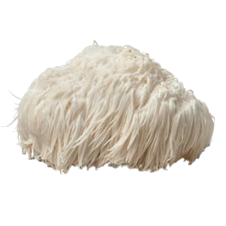 Myracle Mushroom Coffee - Best Mushroom Coffee in the UK