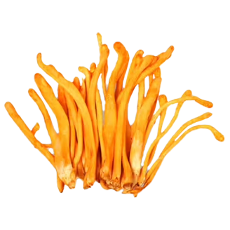 Myracle Mushroom Coffee - Best Mushroom Coffee in the UK