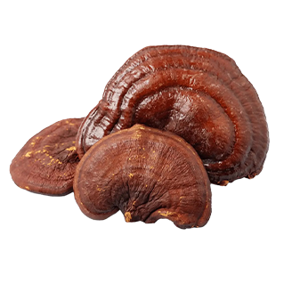 Myracle Mushroom Coffee - Best Mushroom Coffee in the UK